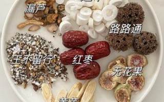 白开水煮通草下奶吗_通草煮水正确做法