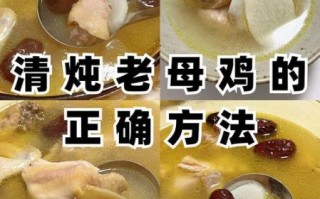 鸡汤怎么煲好喝_老母鸡炖汤秘诀