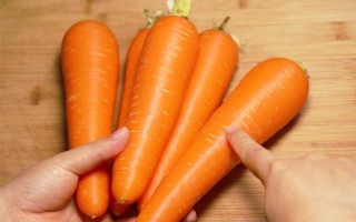 胡萝卜高清图片哪里找_胡萝卜图片怎么拍才清晰