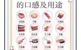 羊肉饺子馅用哪个部位的肉_羊腿肉还是羊肩肉