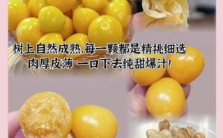 黑龙江特产有哪些_黑龙江十大特产排行榜