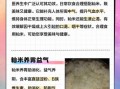 籼米不适合什么人吃_籼米禁忌人群有哪些