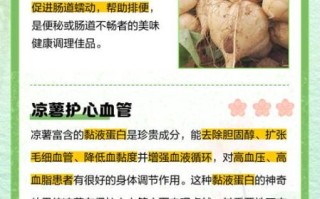 白地瓜的功效与作用_白地瓜的营养价值