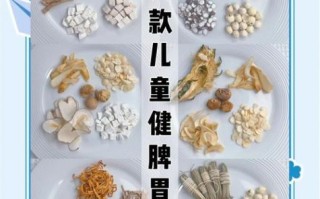 秋季儿童煲汤食谱大全_孩子秋天喝什么汤润肺健脾