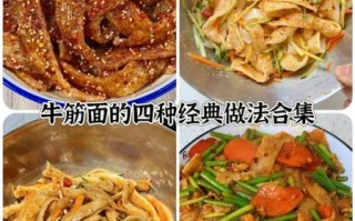 牛筋面怎么做好吃_牛筋面家常做法