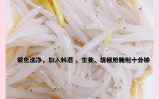 新鲜银鱼怎么做好吃_银鱼做法大全