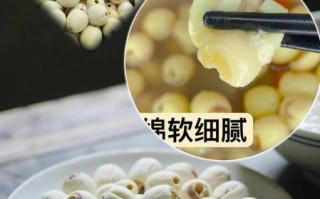 新鲜莲子心可以吃吗_怎么吃最安全