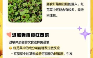 孕妇能不能吃红苋菜_红苋菜对孕妇的危害
