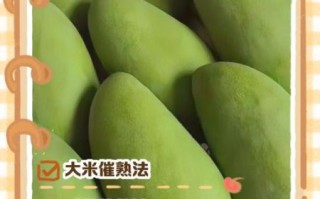青芒果怎么催熟_青芒果快速变软方法