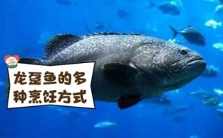 龙趸鱼的营养价值_龙趸鱼的功效与作用