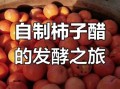 柿子醋怎么做_家庭柿子醋制作步骤