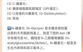 蛋白糖基化是什么_糖基化修饰有哪些类型