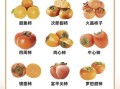 柿子品种大全名称_哪种最好吃