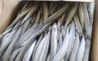 马步鱼的营养价值及功效_马步鱼怎么吃最营养