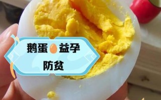 鹅蛋怎么吃法最好_鹅蛋营养价值高吗