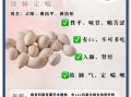 银杏果的功效与作用及禁忌_银杏果怎么吃才安全