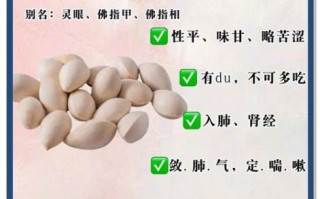 银杏果的功效与作用及禁忌_银杏果怎么吃才安全