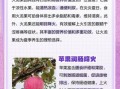 什么水果去火最好_去火水果排行榜