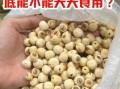 莲子吃多了会怎么样_莲子一天吃多少粒合适
