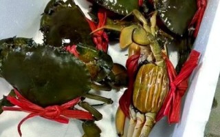 膏蟹怎么蒸好吃又简单_膏蟹清蒸几分钟