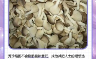 秀珍菇的营养价值_秀珍菇怎么吃最营养