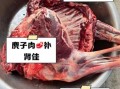 麂子肉怎么炖才嫩_啤酒炖麂子肉的做法