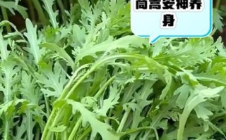 茼蒿不焯水吃了有害吗_茼蒿生吃安全吗