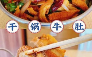 干锅牛肚怎么做_干锅牛肚的做法大全