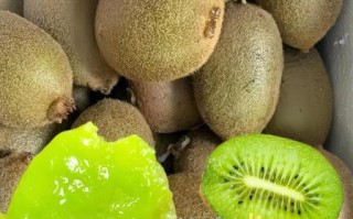 陕西特产水果有哪些_陕西水果哪里最正宗