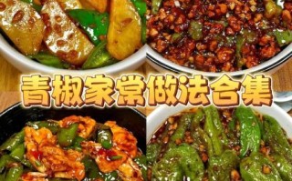 青椒怎么做好吃_青椒炒肉的做法