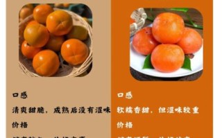 甜脆柿子的功效与禁忌_哪些人不能吃