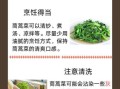 茼蒿的功效与作用_茼蒿怎么吃最营养