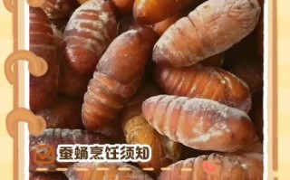 蚕蛹不能和什么一起吃_吃蚕蛹的禁忌食物有哪些