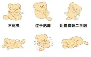 如何安全杀狗_杀狗方法有哪些