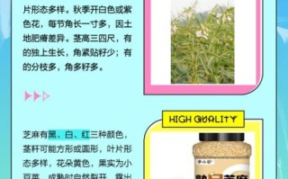 胡麻是什么_胡麻和芝麻的区别