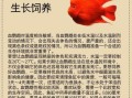 财鱼的功效与作用_财鱼适合什么人吃