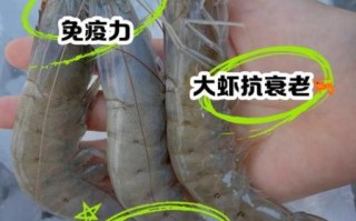 大虾的营养价值_孕妇能吃吗