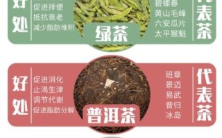 经常喝绿茶可以减肥吗_喝绿茶减肥的正确方法