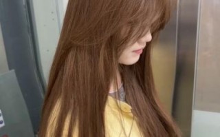 板栗色和栗棕色哪个好看_染发选色指南