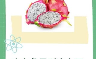 吃火龙果上火还是降火_火龙果降火真相