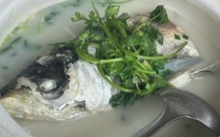 清炖鱼怎么做好吃又营养_清炖鱼用什么鱼最好