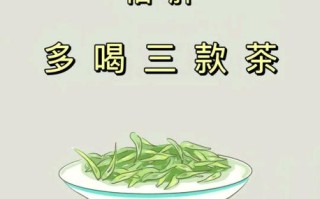 什么茶减肥减脂最好_喝什么茶瘦肚子最快