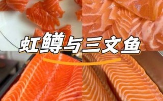 虹鳟鱼是不是三文鱼_如何区分真假三文鱼