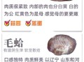 贝类海鲜怎么清洗_贝类海鲜的做法大全窍门
