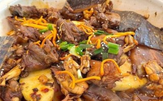 黄焖甲鱼怎么做好吃_黄焖甲鱼正宗做法