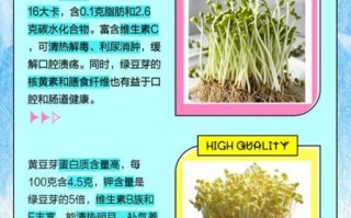 绿豆芽和黄豆芽的区别_哪个更有营养