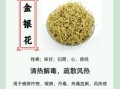 金银花泡水喝的害处有哪些_长期饮用副作用