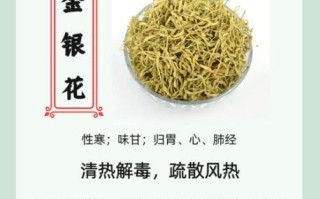金银花泡水喝的害处有哪些_长期饮用副作用