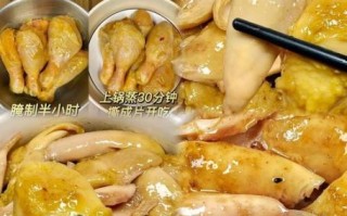 盐焗鸡粉是什么_盐焗鸡粉怎么用