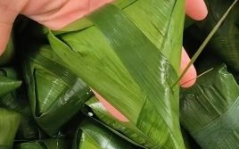 大粽子图片大全_如何挑选正宗大粽子